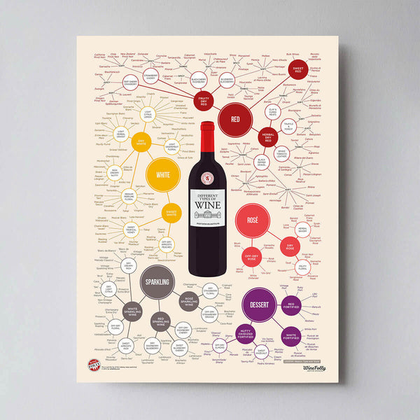 Winefolly - Different Types of Wine Poster 18" x 24" | Wines Wholesales